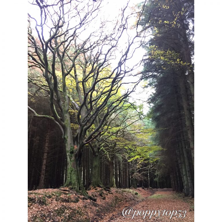 Outlander Season 4 Filming: Behind-the-Scenes Horseback Shots